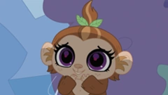 Mushroom | Littlest Pet Shop Wiki | Fandom
