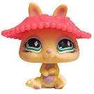 471 | Littlest Pet Shop Wiki | Fandom