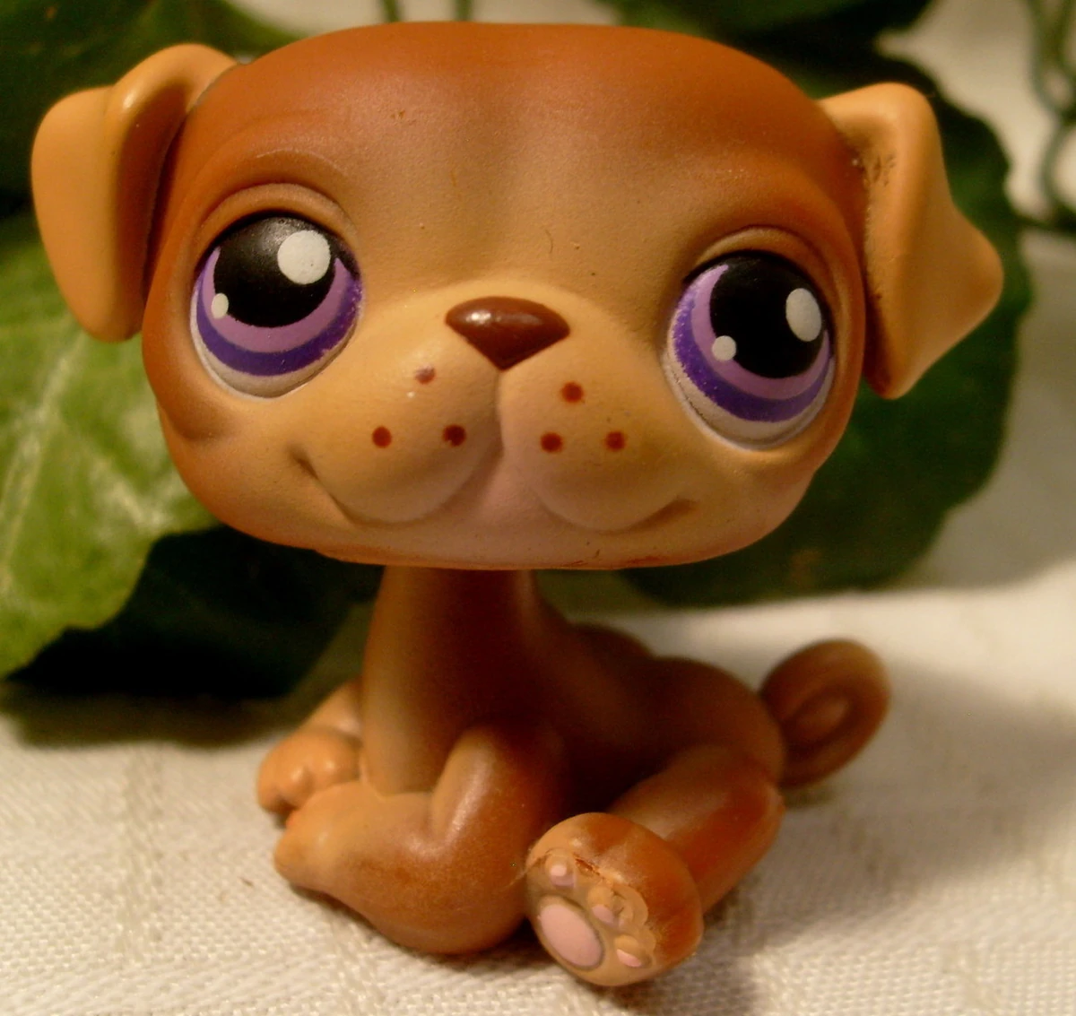 133 Pug | Littlest Pet Shop Wiki | Fandom