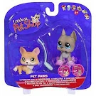 183 | Littlest Pet Shop Wiki | Fandom