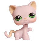 456 | Littlest Pet Shop Wiki | Fandom