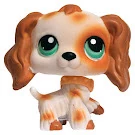 344 | Littlest Pet Shop Wiki | Fandom