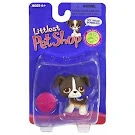 287 | Littlest Pet Shop Wiki | Fandom