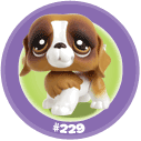 229 | Littlest Pet Shop Wiki | Fandom