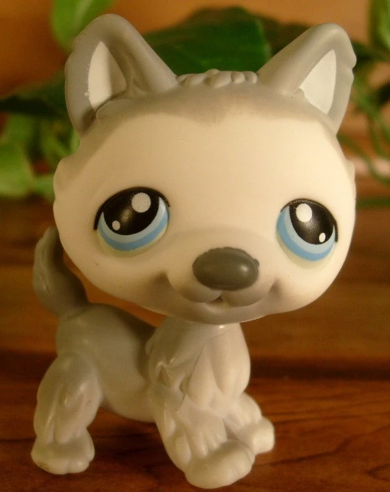 69 Husky | Littlest Pet Shop Wiki | Fandom
