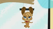 Digby | Littlest Pet Shop (2012 TV series) Wiki | Fandom