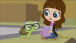 The Tortoise and the Heir | Littlest Pet Shop (2012 TV series) Wiki ...