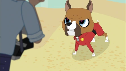 Errors: Season 4 | Littlest Pet Shop (2012 TV series) Wiki | Fandom