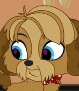 Digby | Littlest Pet Shop (2012 TV series) Wiki | Fandom