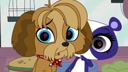 Digby | Littlest Pet Shop (2012 TV series) Wiki | Fandom