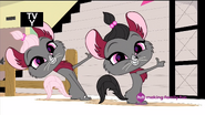 Cashmere and Velvet | Littlest Pet Shop (2012 TV series) Wiki | Fandom