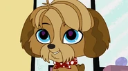 Digby | Littlest Pet Shop (2012 TV series) Wiki | Fandom