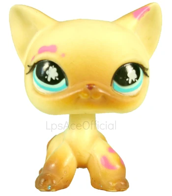 Nina Phoenix | Lpsexperiment42 Wikia | Fandom