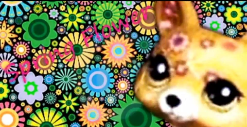 Spring Flower | LPS Life in the school Wiki | Fandom