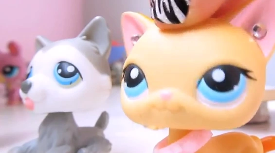 Brooke-Malcolm Relationship | Lpspopular Wiki | Fandom