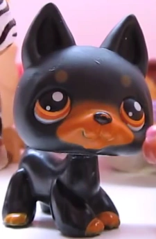 Dustin Thome | Lpspopular Wiki | Fandom