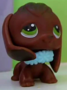 Savannah Reed | Lpspopular Wiki | Fandom