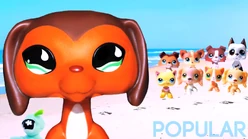 LPS: Popular | Lpspopular Wiki | Fandom