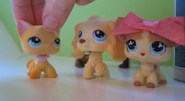 All's Fair in Love and War | Lpspopular Wiki | Fandom