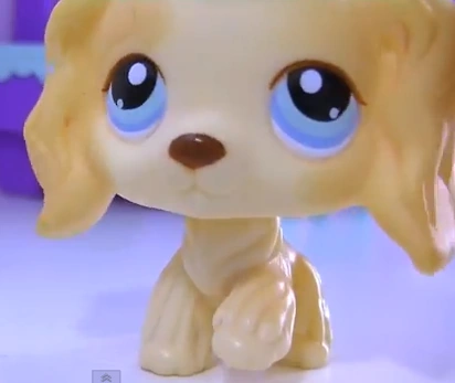 Rachel Rivera | Lpspopular Wiki | Fandom