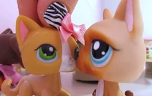 Angelina Davis | Lpspopular Wiki | Fandom