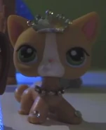 Angelina Davis | Lpspopular Wiki | Fandom