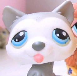 Malcolm | Lpspopular Wiki | Fandom