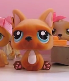 Larry Wolf | Lpspopular Wiki | Fandom