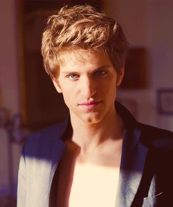Josh Lawrence (TV Series) | LPSPopularFandom Wiki | Fandom