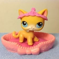 Princess Starfire | LPSPopularFandom Wiki | Fandom