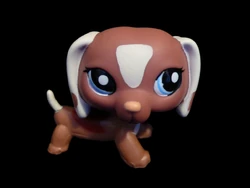 Roxy Roberts | LPSPopularFandom Wiki | Fandom