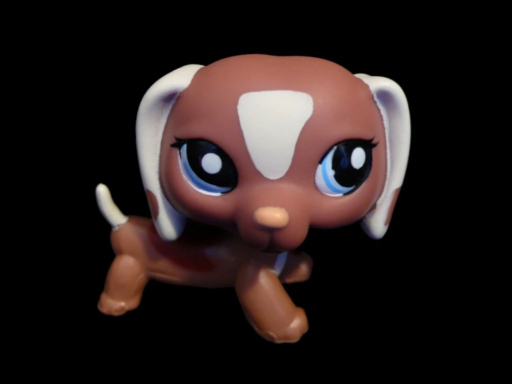 Roxy Roberts | LPSPopularFandom Wiki | Fandom