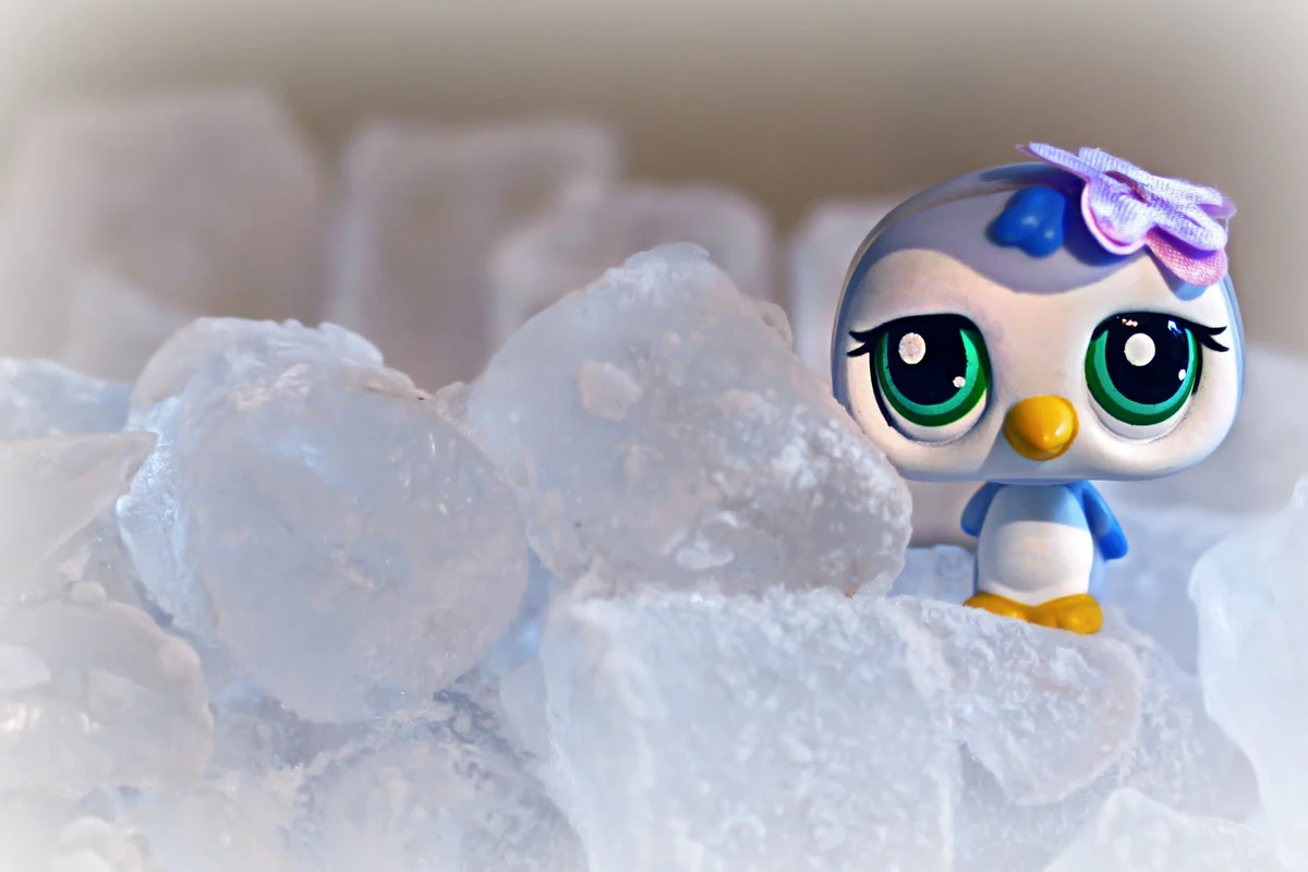 Trumpet Flutter | LPSPopularFandom Wiki | Fandom