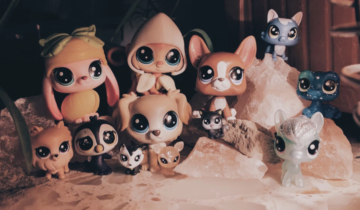 Big Brother Canada 4 (BBCAN 4) | LPSRealityTV Wiki | Fandom