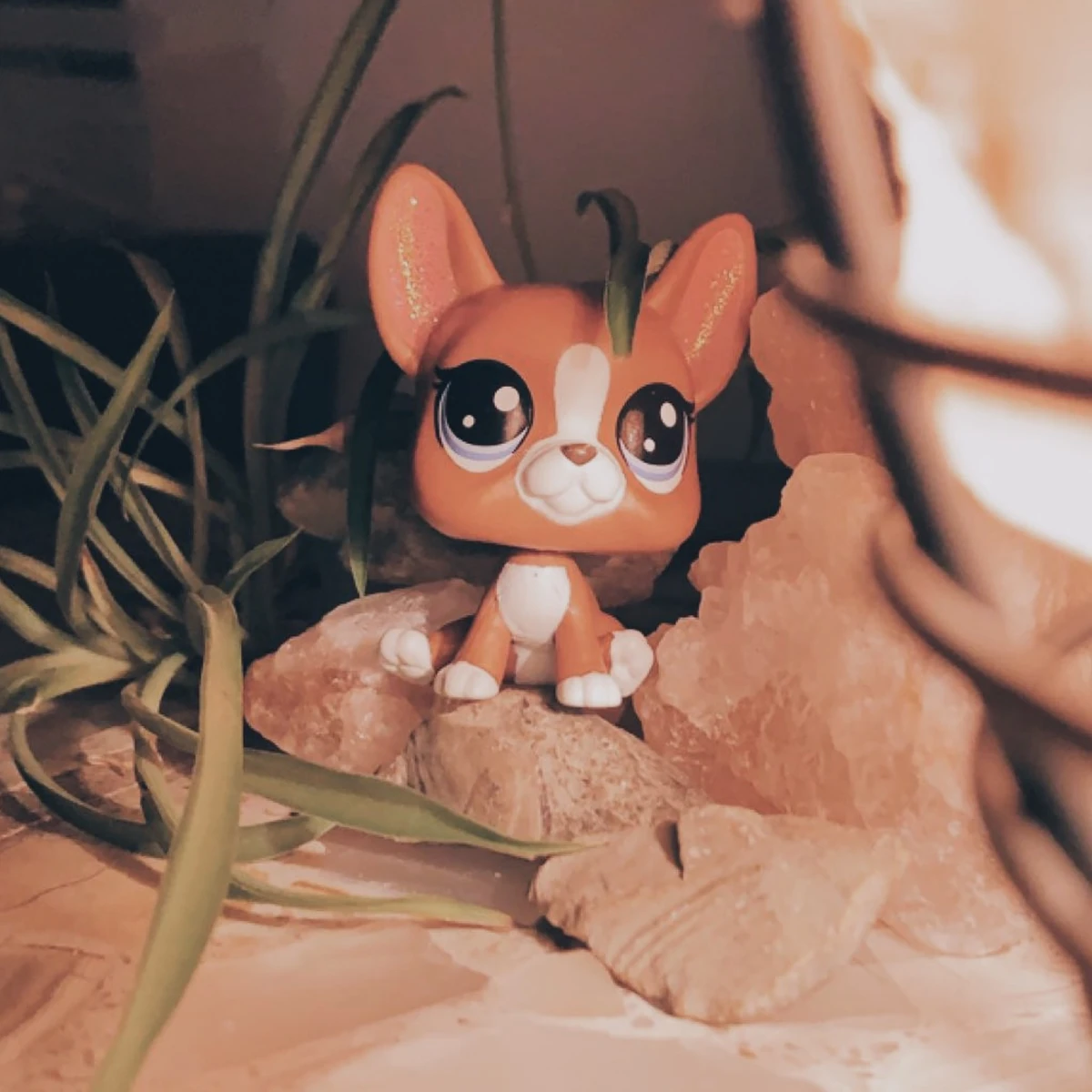 Ruby | LPSRealityTV Wiki | Fandom