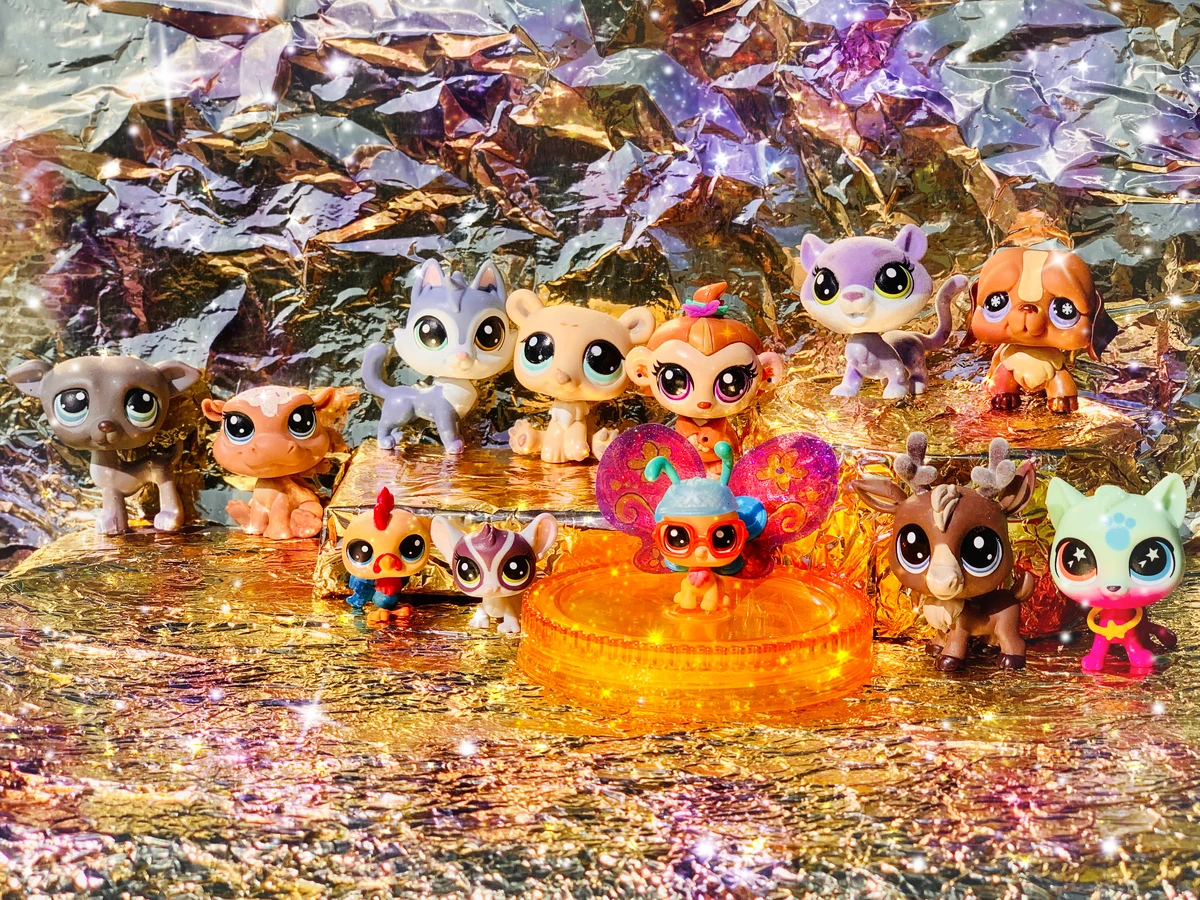 Big Brother Canada 6 (BBCAN 6) | LPSRealityTV Wiki | Fandom