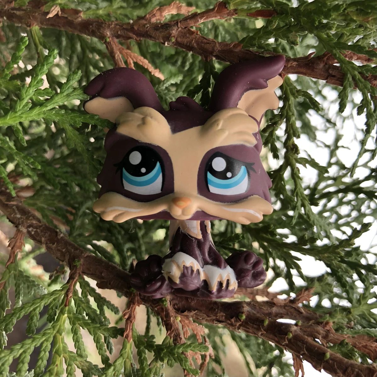 Scruff | LPSRealityTV Wiki | Fandom