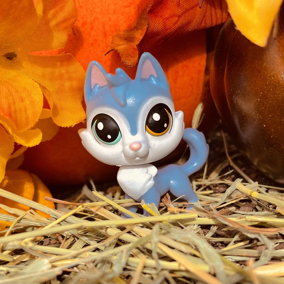 Ranger | LPSRealityTV Wiki | Fandom