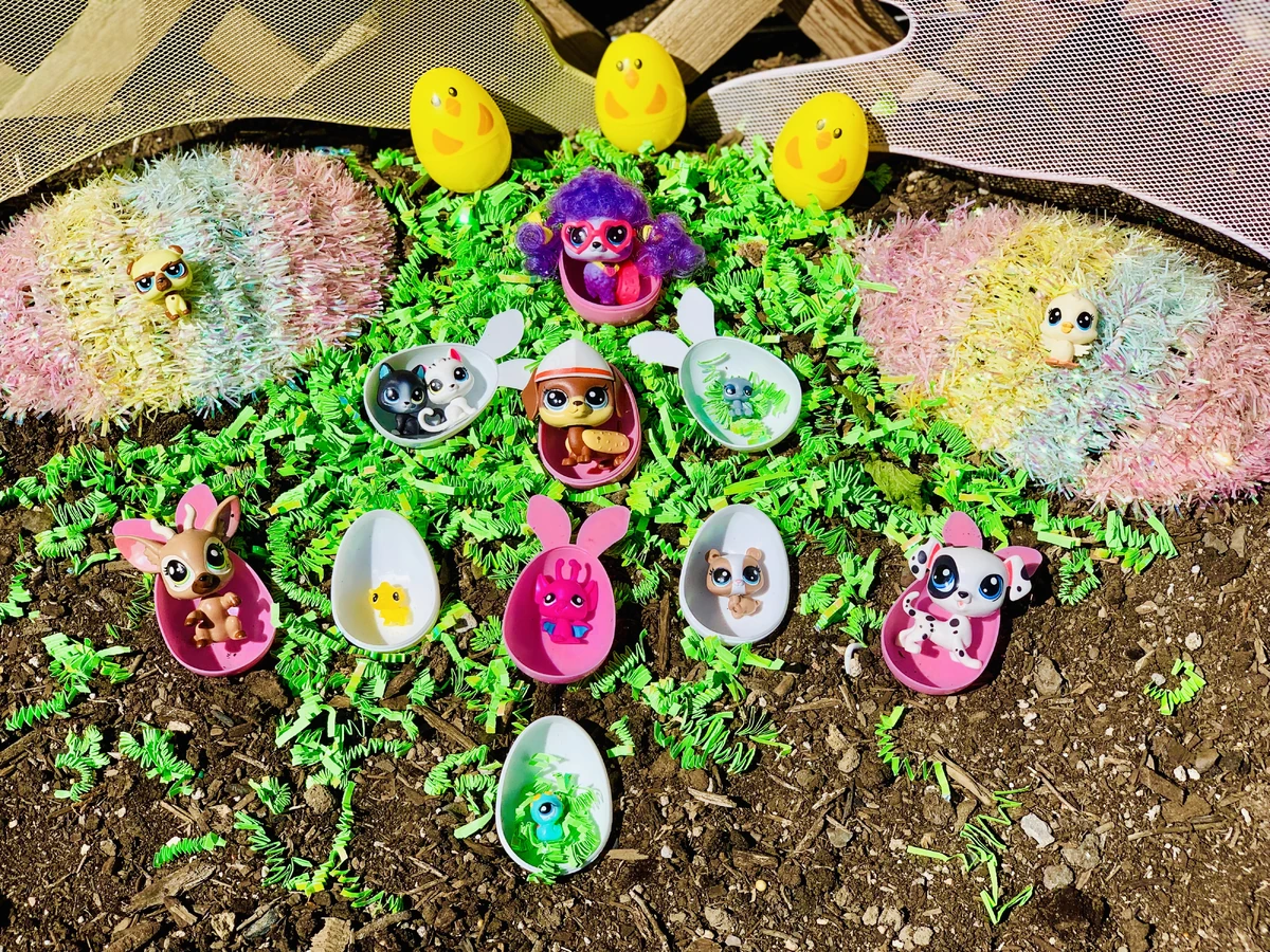 Big Brother Canada 3 (BBCAN 3) | LPSRealityTV Wiki | Fandom