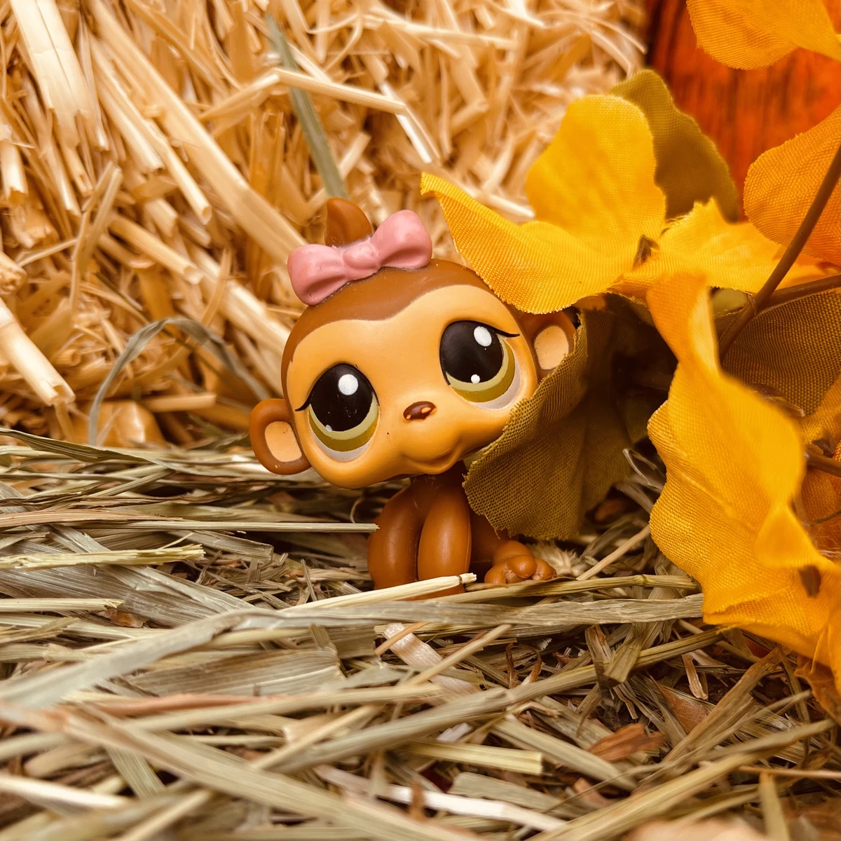 Coco | LPSRealityTV Wiki | Fandom