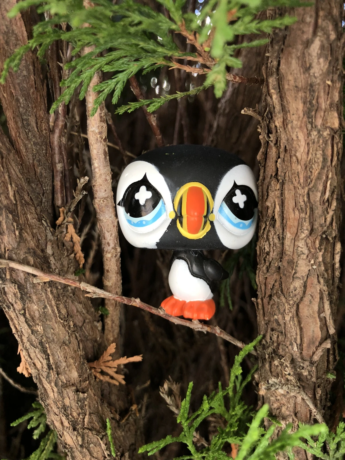 Nedry | LPSRealityTV Wiki | Fandom