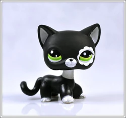 Valentine | LpsStarsTv Wiki | Fandom