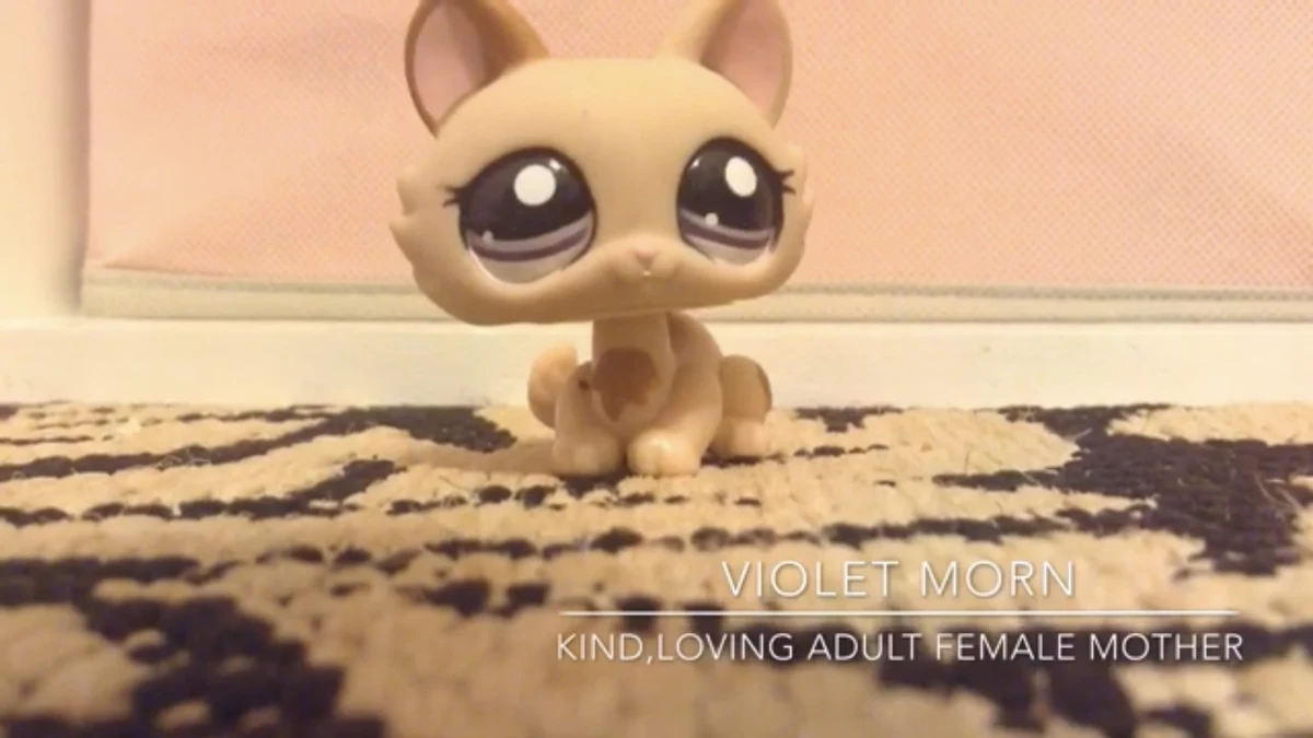 Paradise Awaits | LPSTube Wiki | Fandom