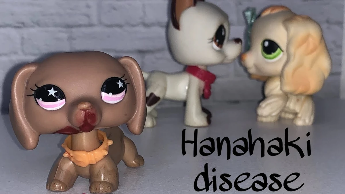 Hanahaki Disease | LPSTube Wiki | Fandom