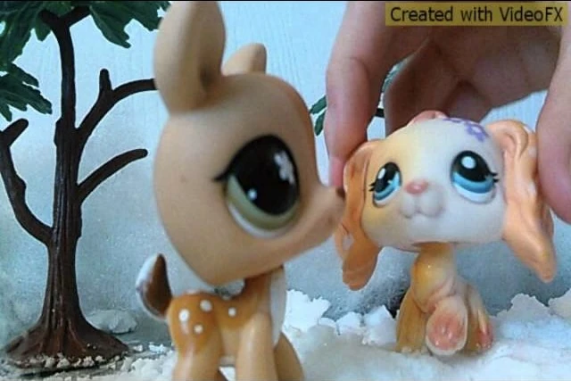 Something About You | LPSTube Wiki | Fandom