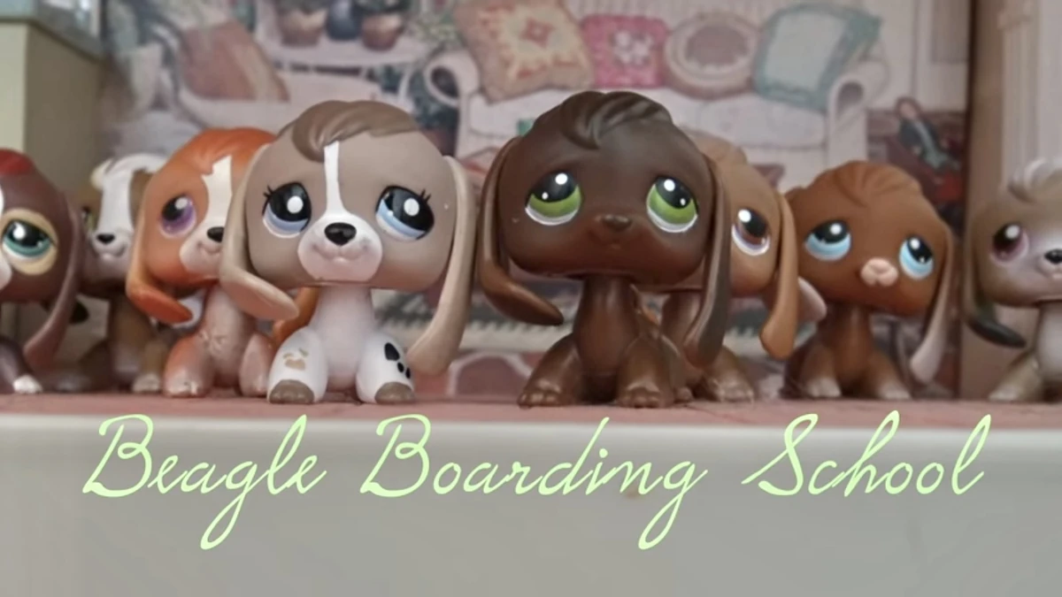 Beagle Boarding School | LPSTube Wiki | Fandom