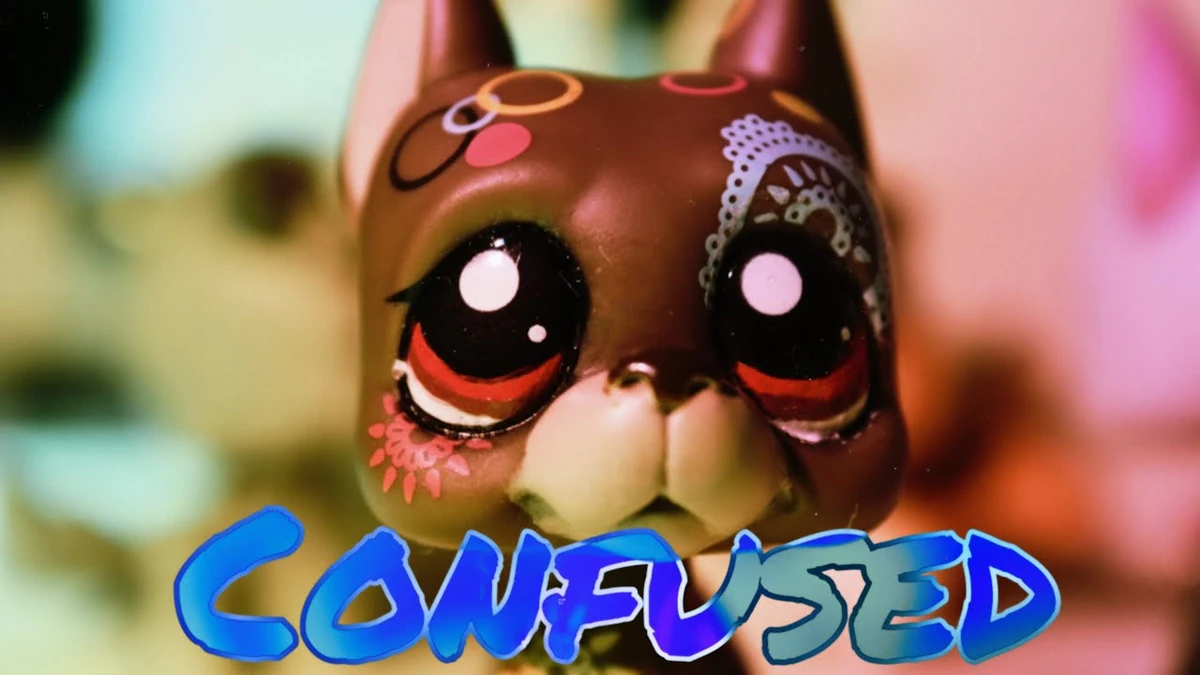 confused | LPSTube Wiki | Fandom