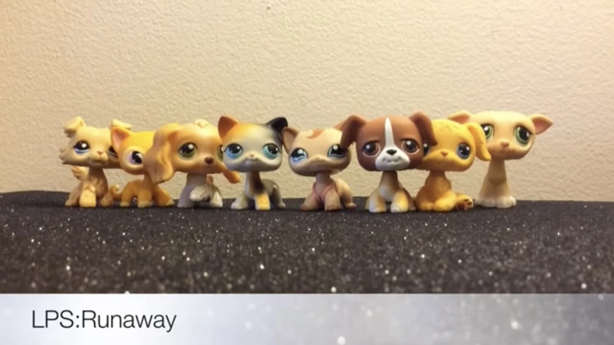 Runaway (LPS Dreamycat) | LPSTube Wiki | Fandom