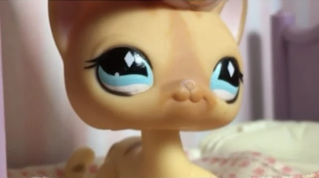 Secrets (MilkyPaws) | LPSTube Wiki | Fandom