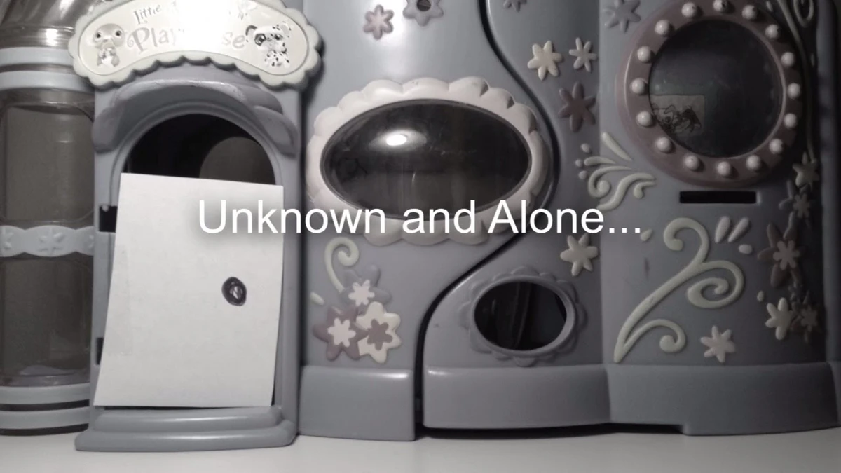 Unknown and Alone | LPSTube Wiki | Fandom